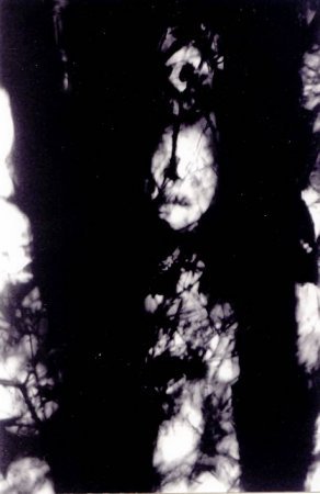 Fred Ressler – Henry Boxer Gallery