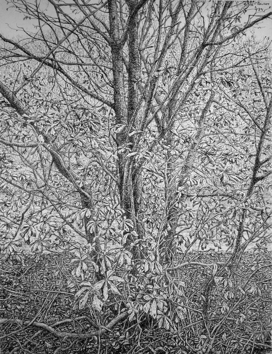 Roy Wright – Henry Boxer Gallery