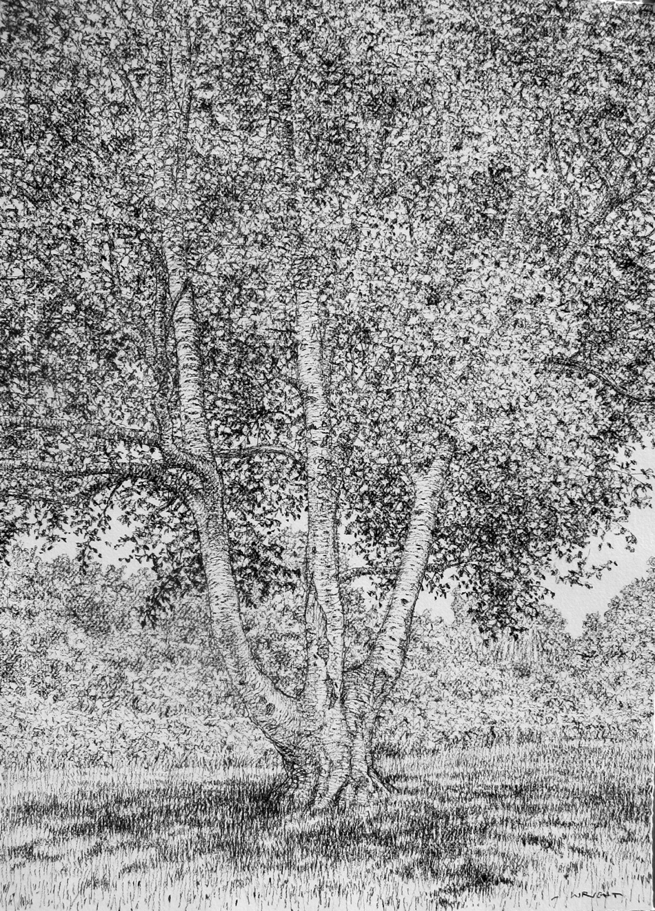 Roy Wright – Henry Boxer Gallery