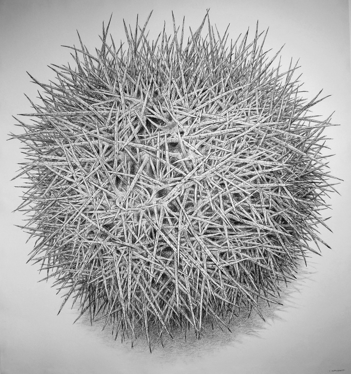 Roy Wright – Henry Boxer Gallery